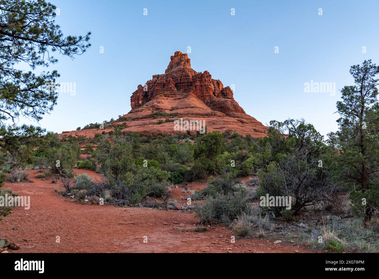 Bell Rock in Sedona Arizona, framed with trees Stock Photo - Alamy