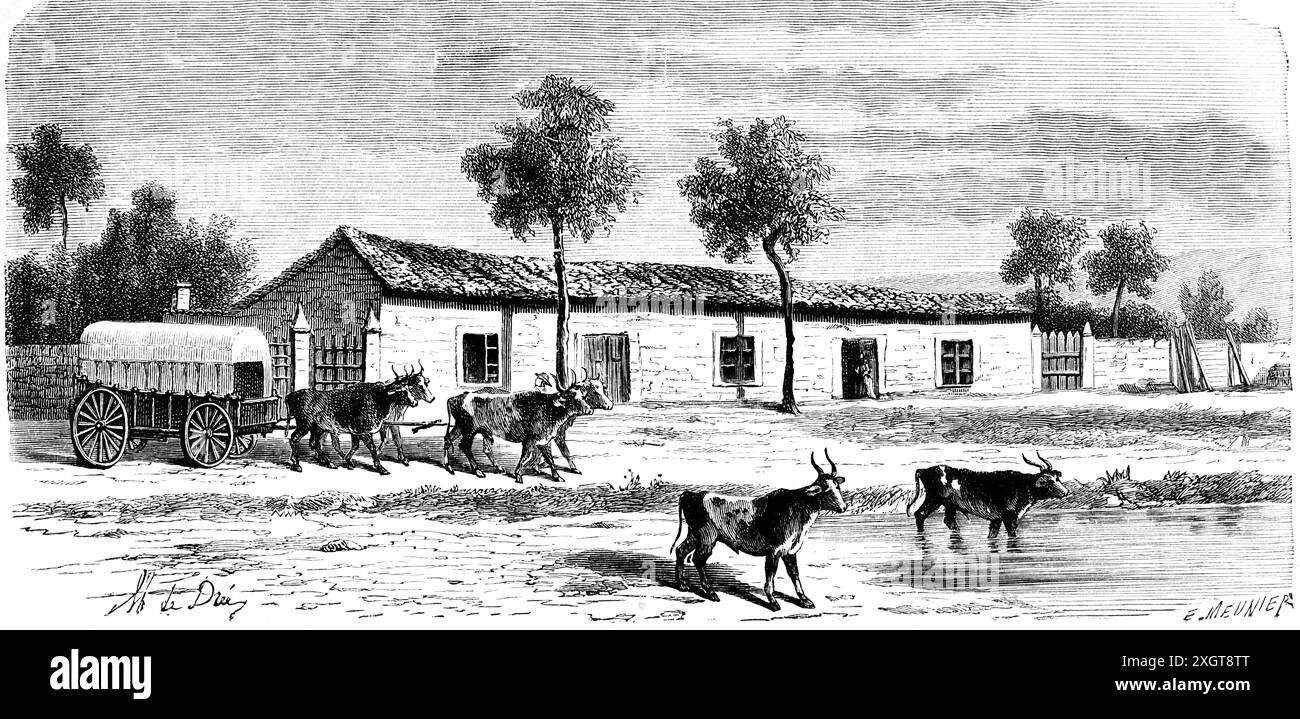 Farm of a Boer, South Africa, historic illustration 1886 Stock Photo ...