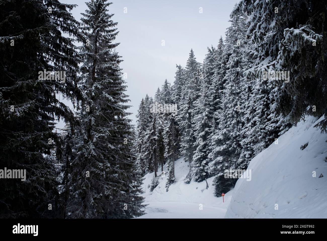 Skiing adventure pristine slopes hi-res stock photography and images ...