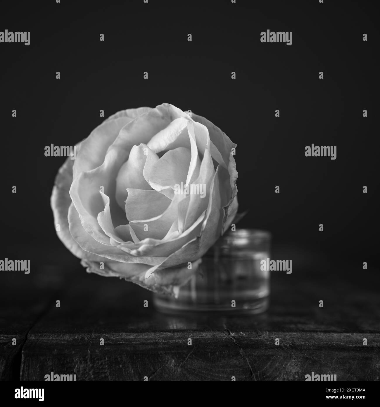 Dark blue patterns Black and White Stock Photos & Images - Alamy