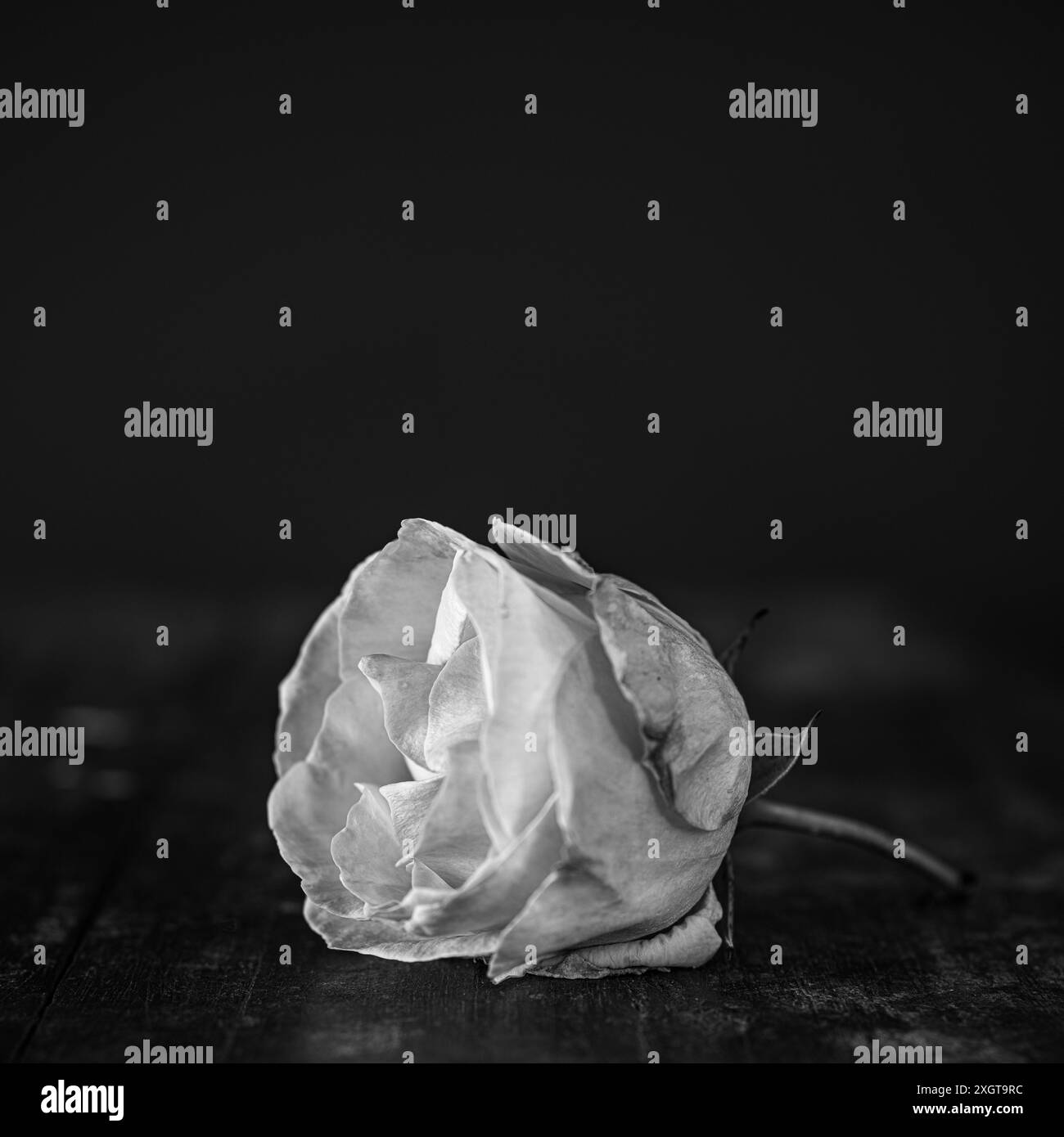 Dark blue patterns Black and White Stock Photos & Images - Alamy