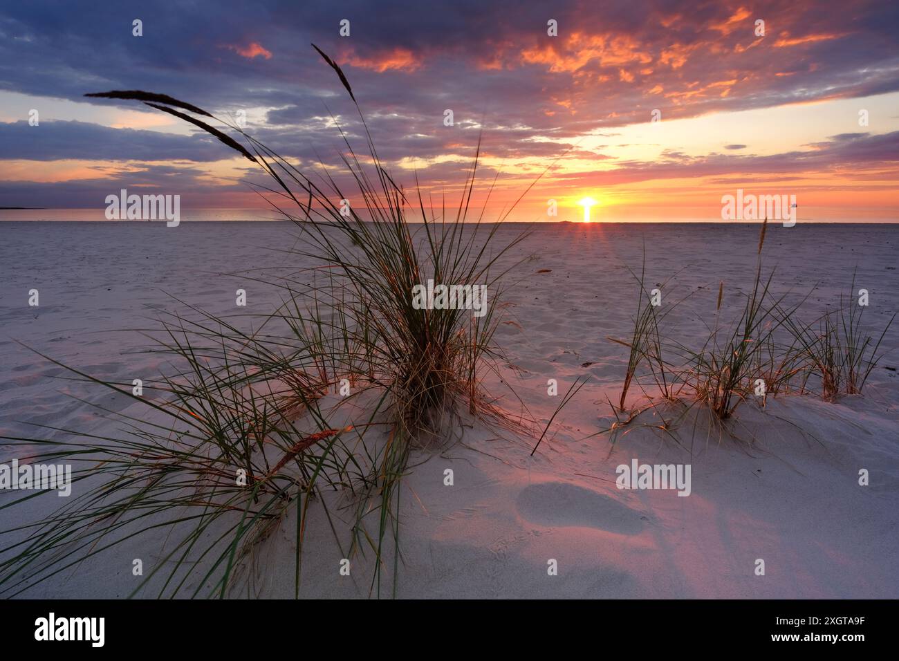 Beautiful summer sunset over the Baltic Sea beach Stock Photo - Alamy
