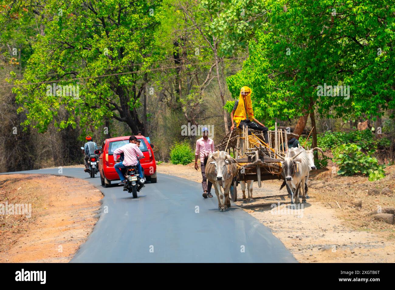 bullock cart on the road in Jaipur Rajasthan Stock Photo - Alamy