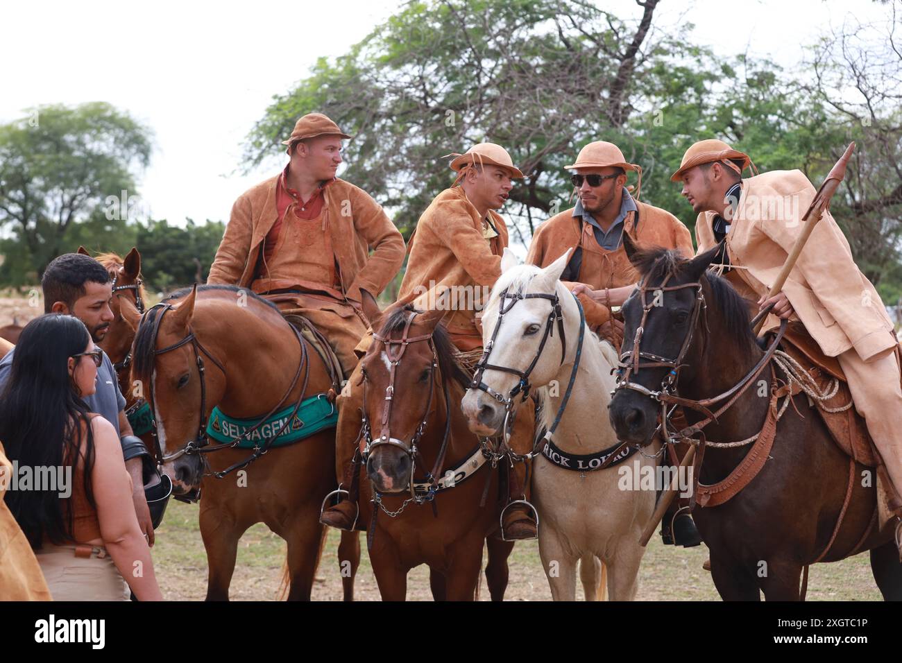 curaca, bahia, brazil - july 7, 2024: Northeastern cowboy takes part in ...