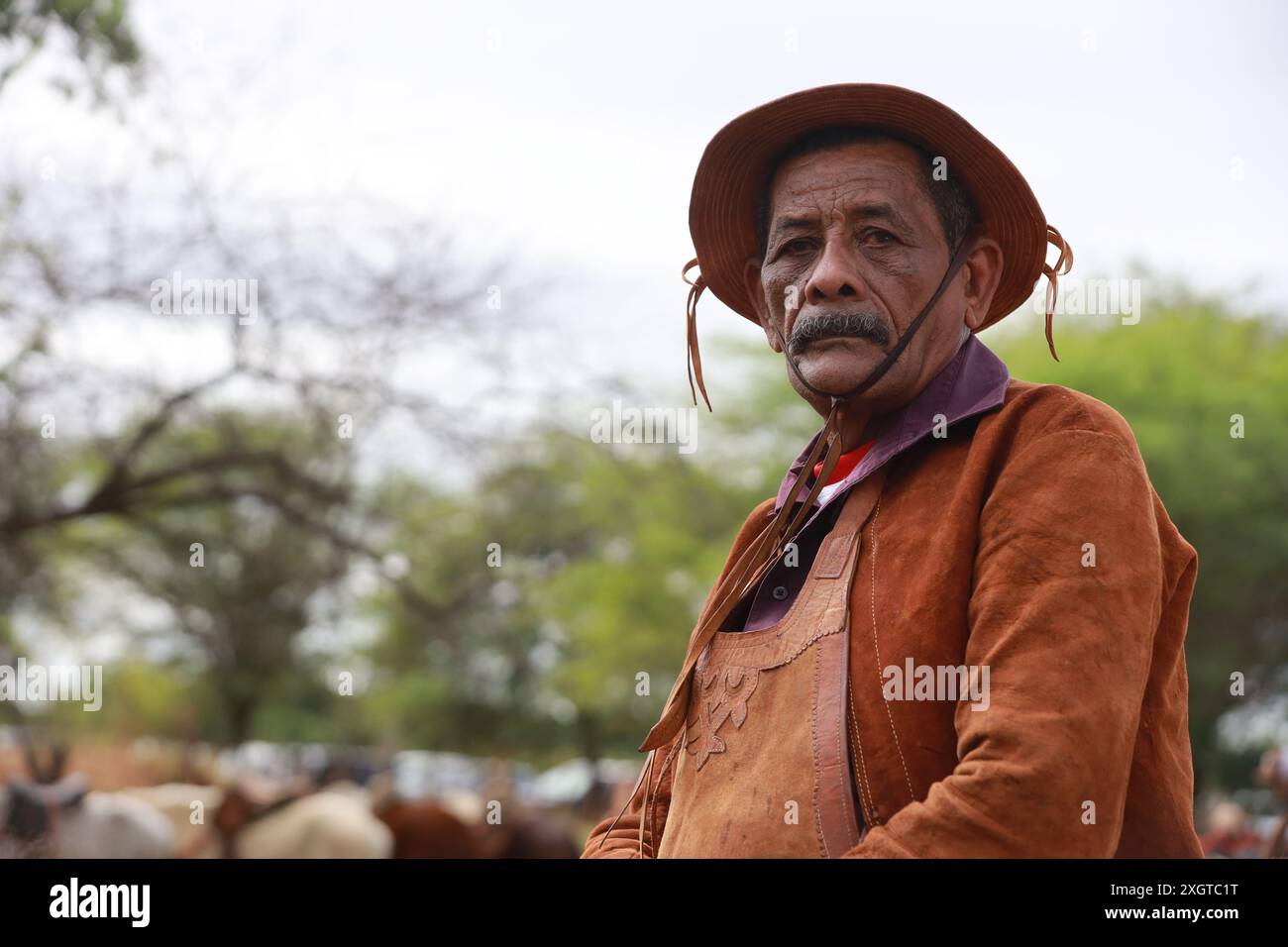 curaca, bahia, brazil - july 7, 2024: Northeastern cowboy takes part in ...