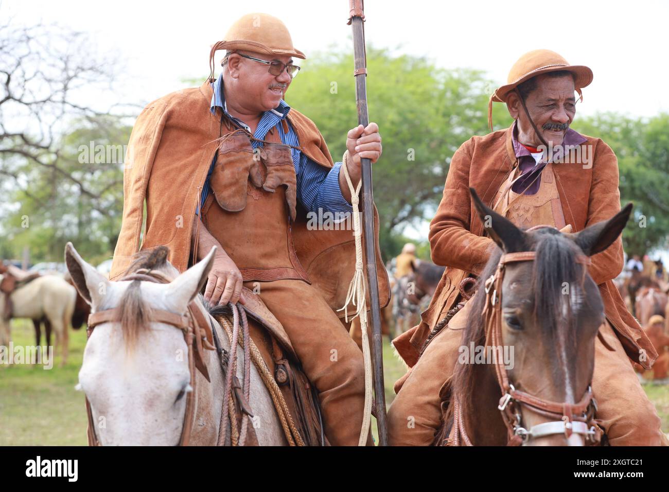 curaca, bahia, brazil - july 7, 2024: Northeastern cowboy takes part in ...