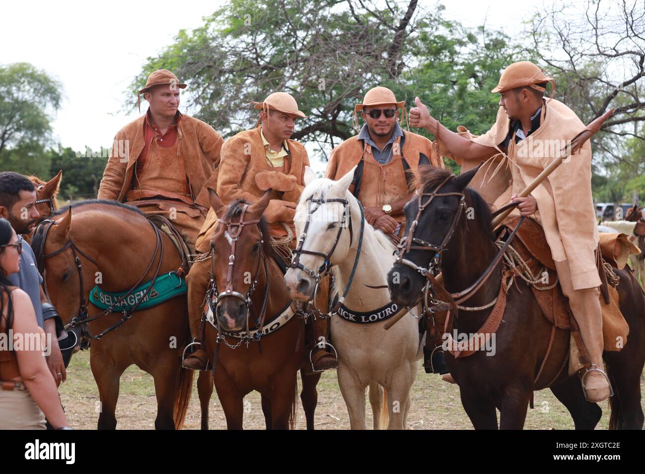 curaca, bahia, brazil - july 7, 2024: Northeastern cowboy takes part in ...