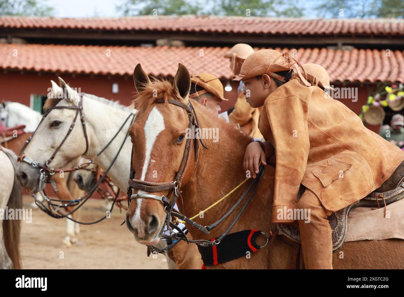 curaca, bahia, brazil - july 7, 2024: Northeastern cowboy takes part in ...