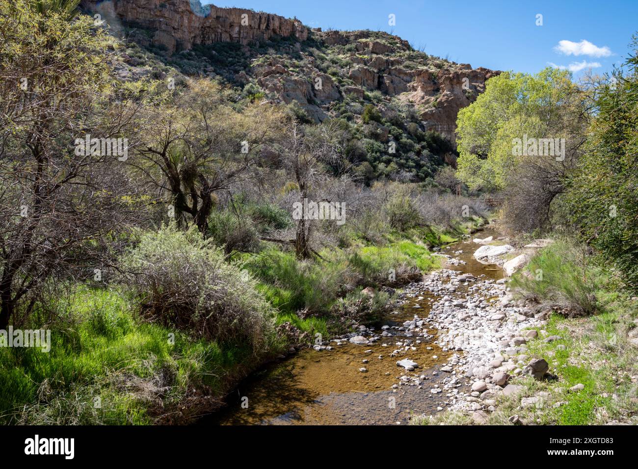 Queen Creek flows through the Boyce Thompson Arboretum - Superior ...