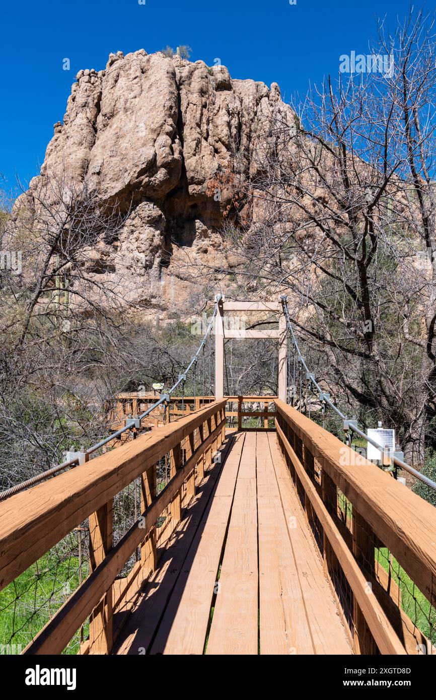 Suspension bridge on the hiking trails of Boyce Thompson Arboretum ...