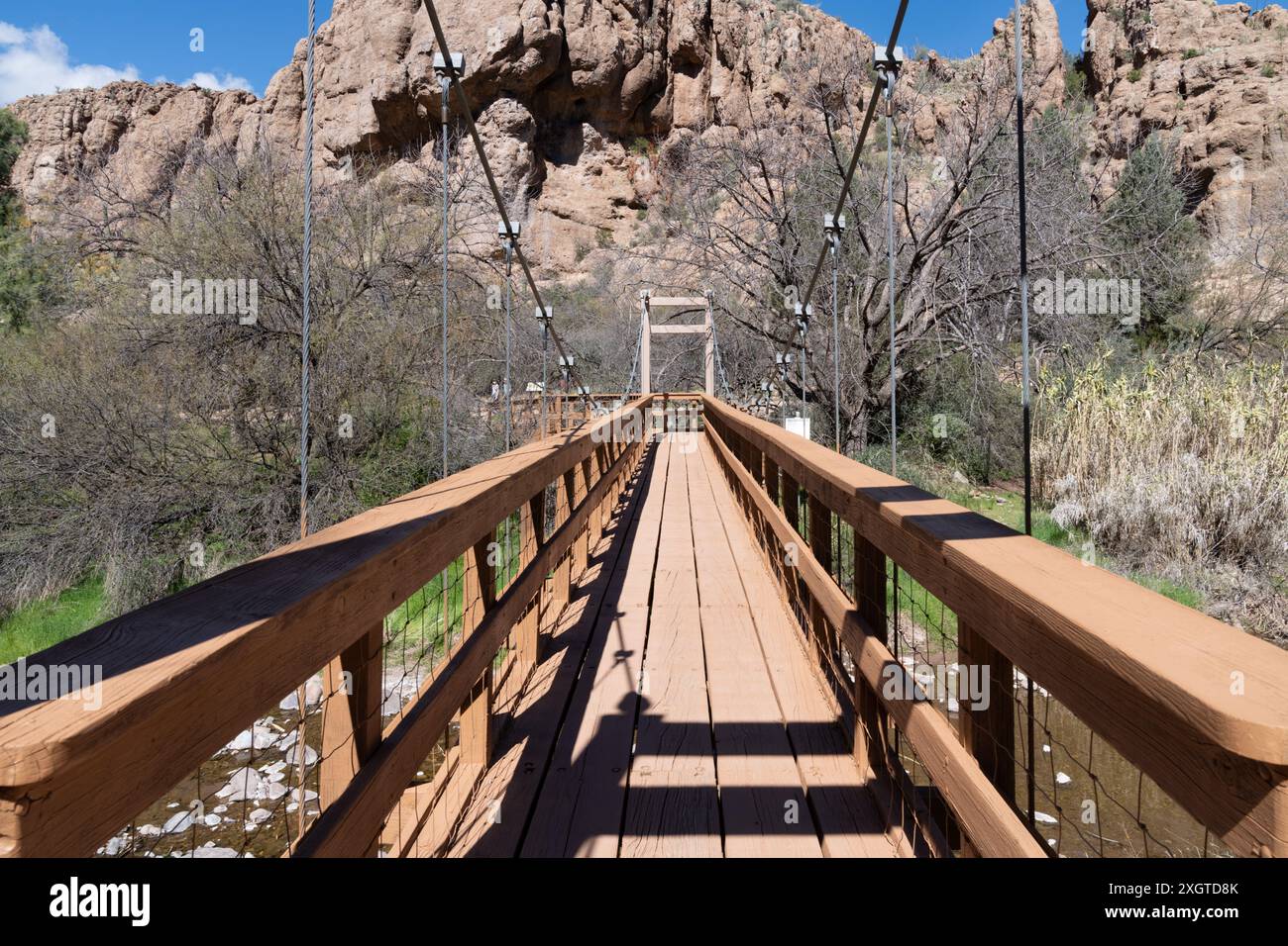 Suspension bridge on the hiking trails of Boyce Thompson Arboretum ...