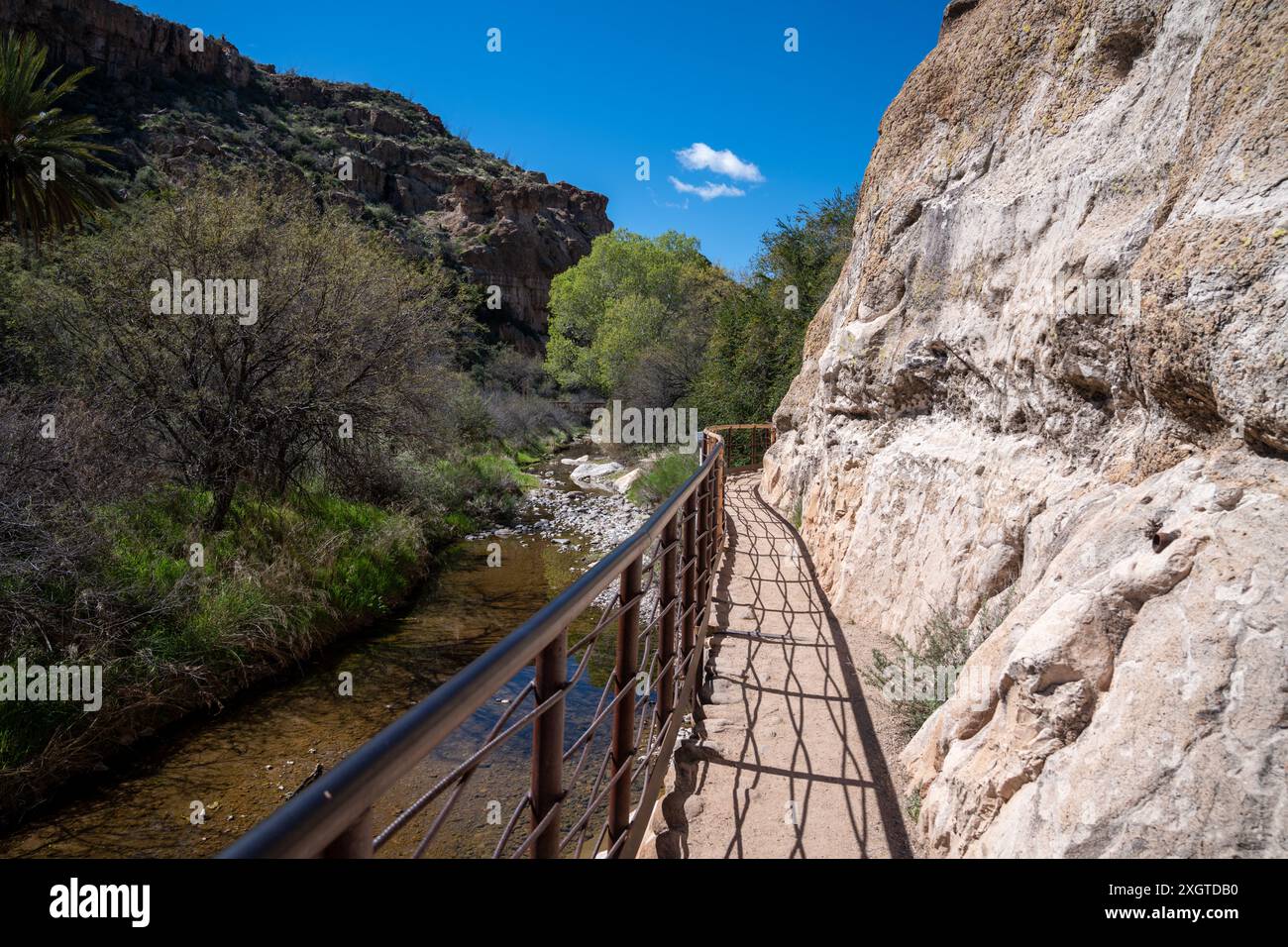 Catwalk bridge on a hiking trail in Boyce Thompson Arboretum - Superior ...