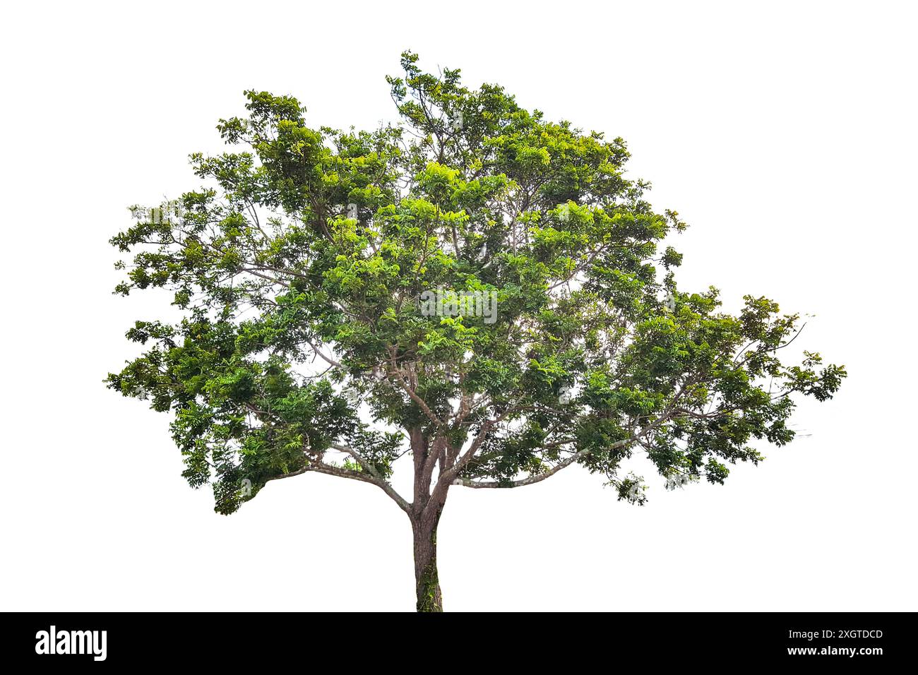 Environmental issues garden Cut Out Stock Images & Pictures - Alamy