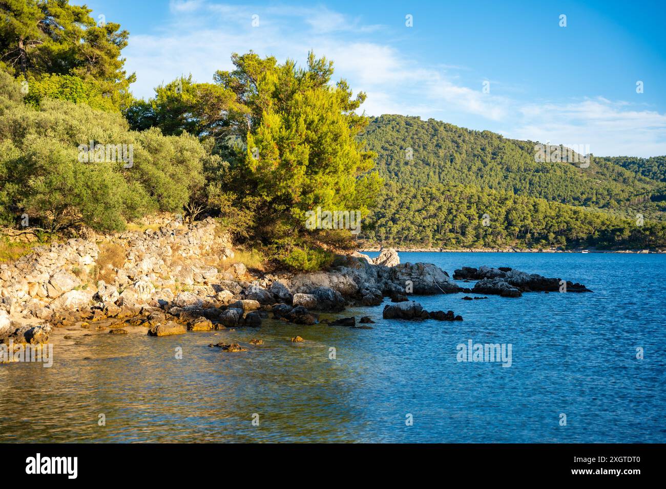 Shore in the bay of Uvala Gradina near the town of Vela Luka on the ...
