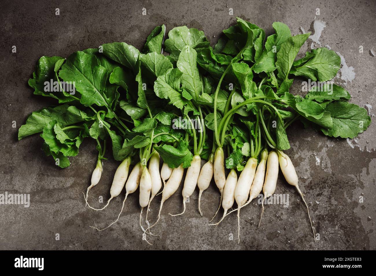 White long radish on dark background, top view Stock Photo - Alamy
