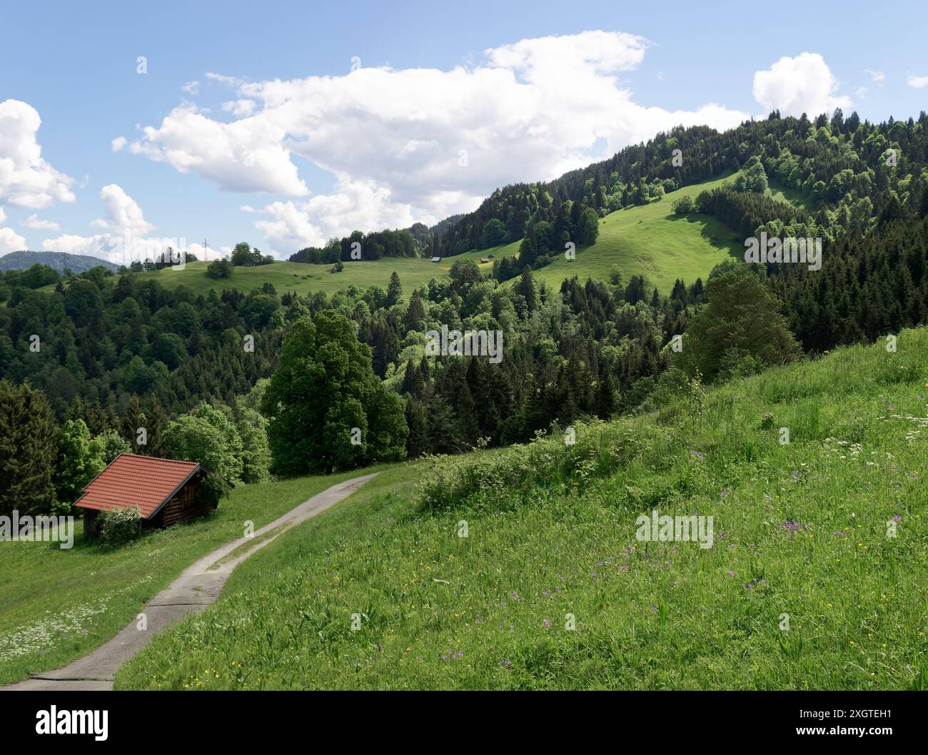 Scenic panoramic view of idyllic rolling hills landscape with mountain ...