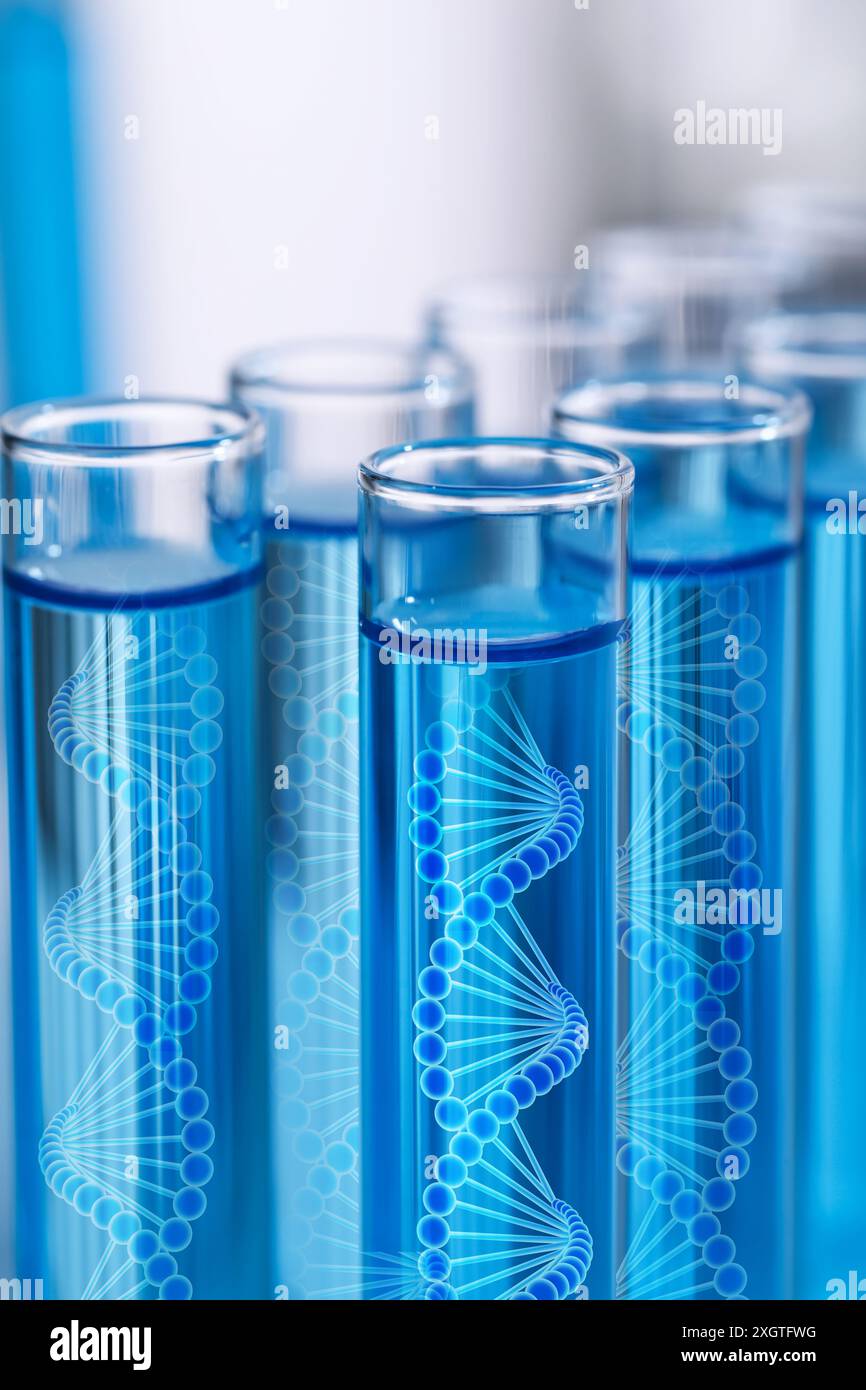 Test tubes with illustrations of DNA in laboratory, closeup Stock Photo ...