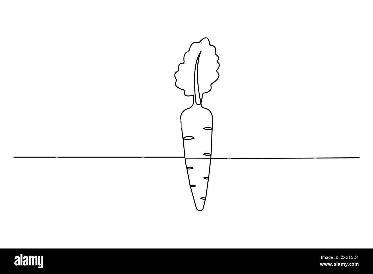 Carrot continuous one line drawing of isolated outline vector art ...