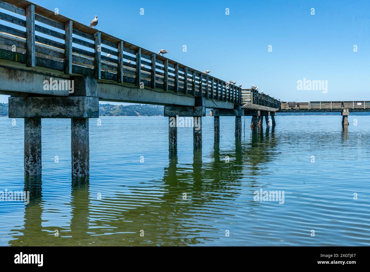 A view from under the pier at Dash Point, Washington Stock Photo - Alamy