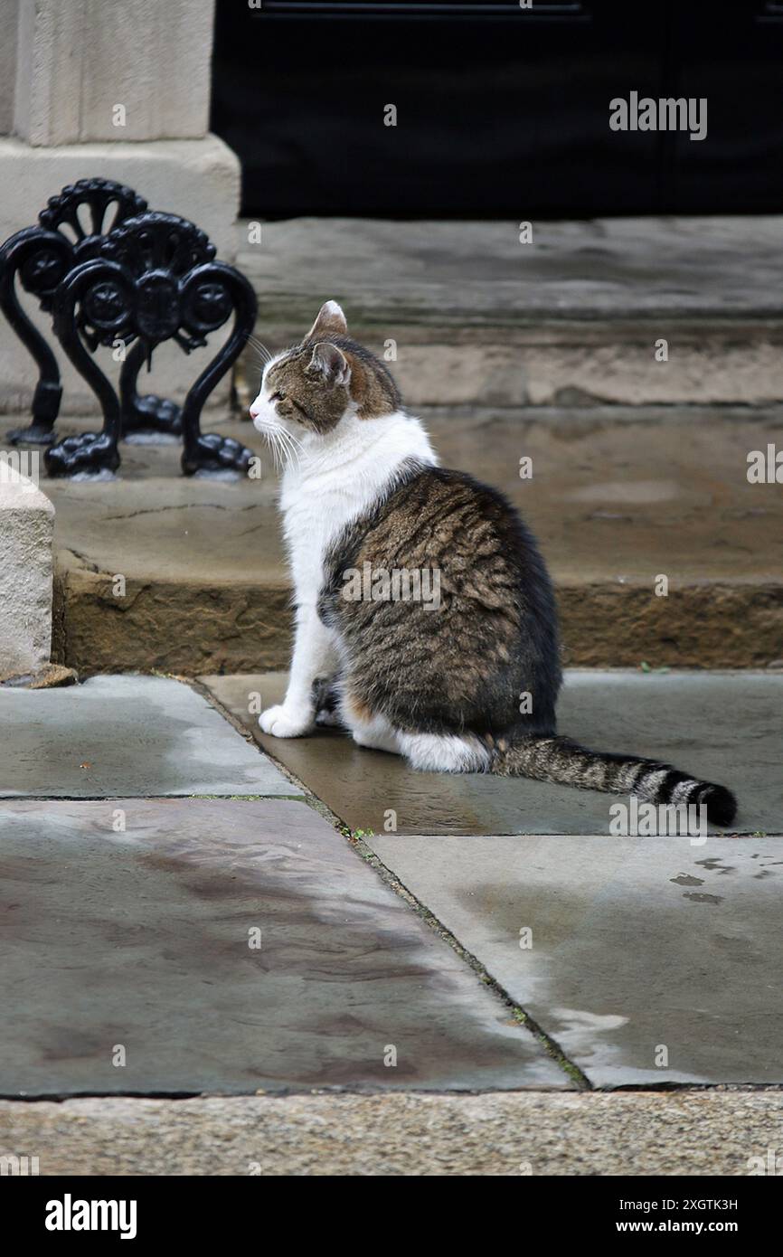Larry the Cat in Downing Street watched on as the new prime minister ...