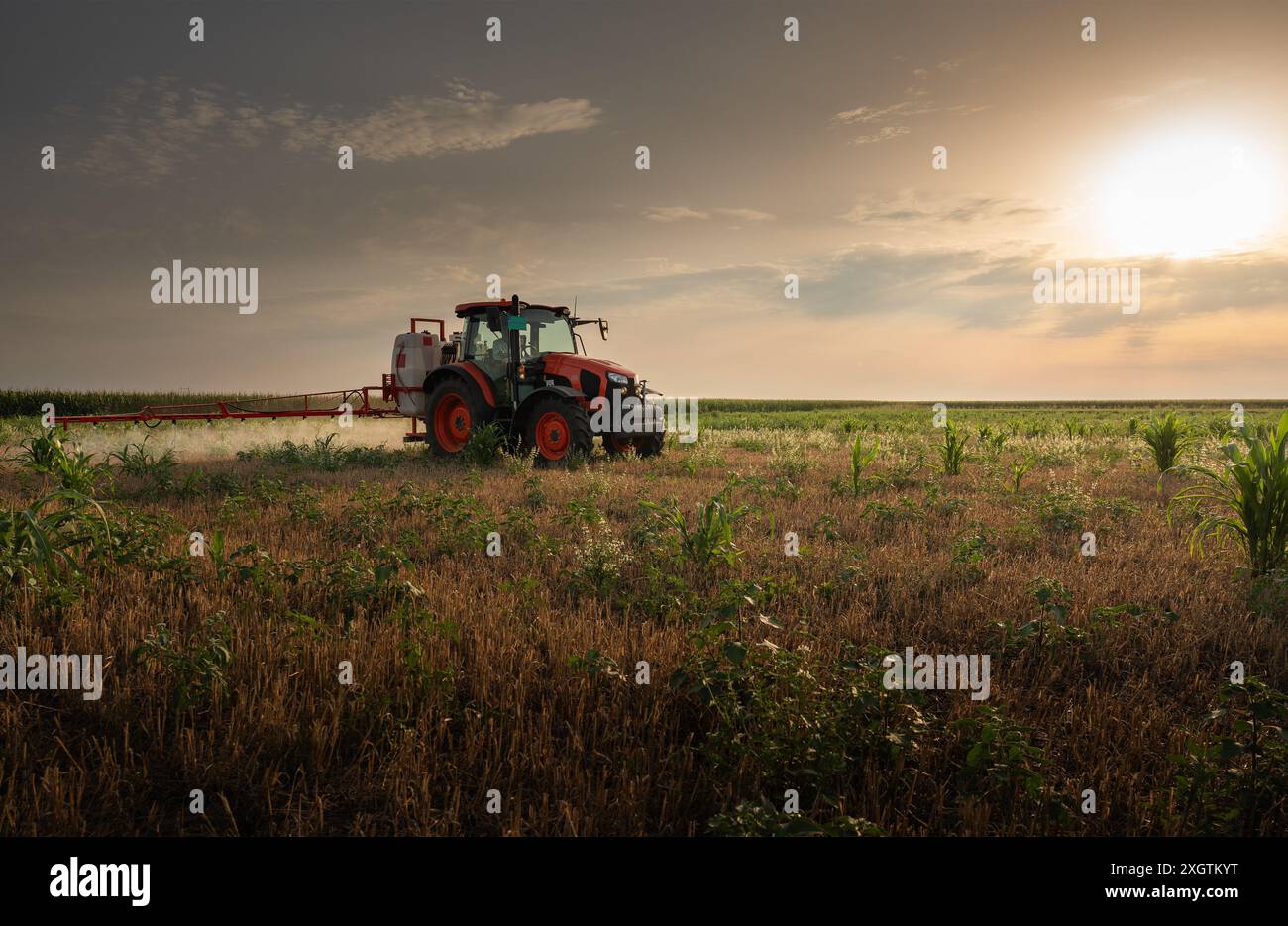 A tractor sprays chemicals to control pests and weeds in crops Stock ...