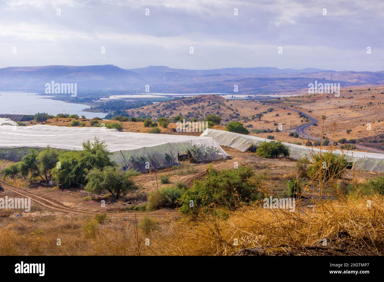 Greenhouse agriculture israeli hi-res stock photography and images - Alamy
