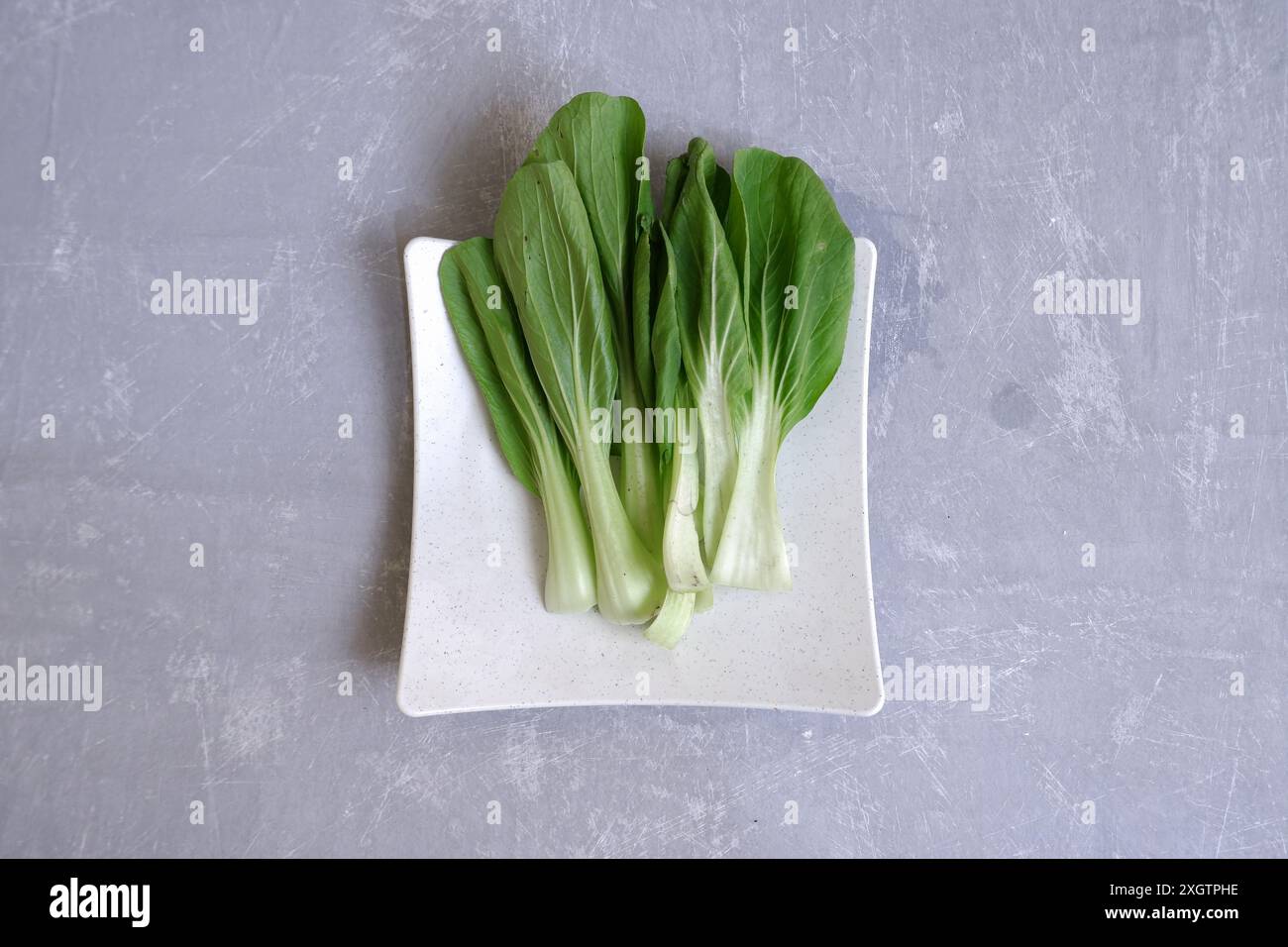 Fresh bok choy vegetable on the plate Stock Photo - Alamy