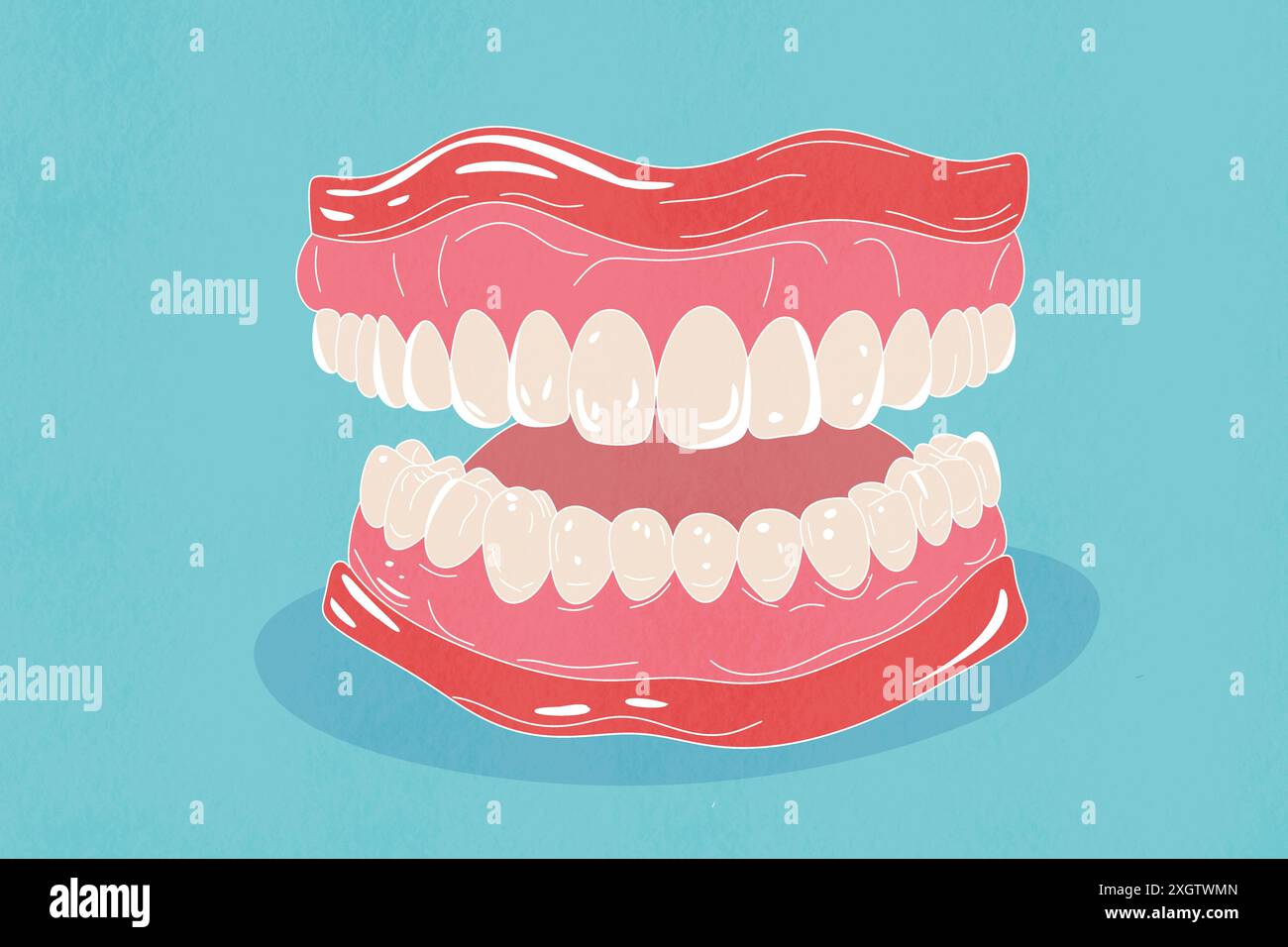 A colorful illustration of a complete set of upper and lower human ...