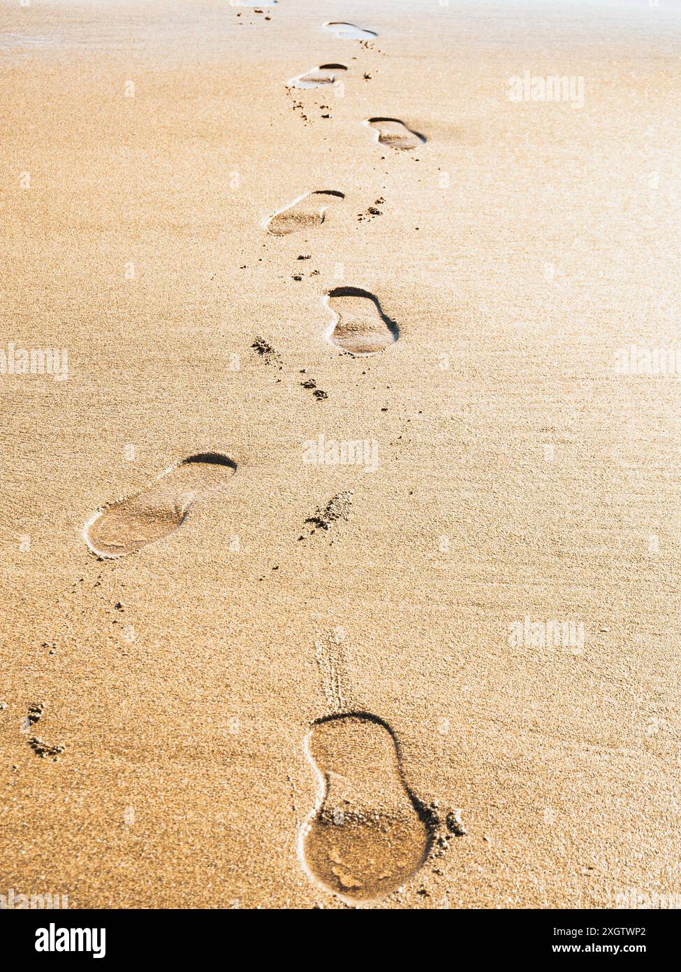 A serene image of footprints in the sand leading towards the ocean ...