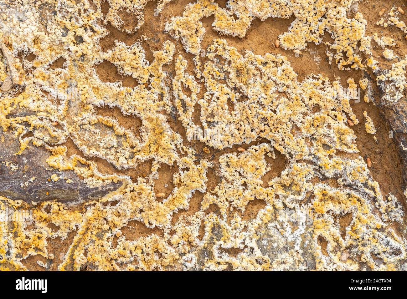 An intriguing abstract image showcasing earthy textures and crystalline ...