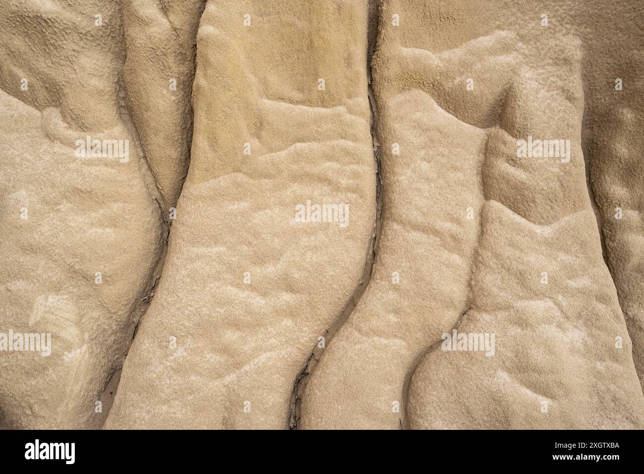 Close-up photo capturing the intricate patterns and textures formed in ...