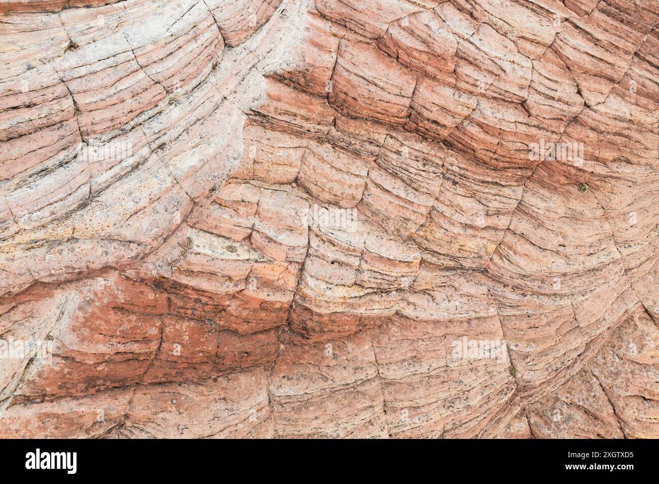 Wavy patterns in warm tones hi-res stock photography and images - Alamy