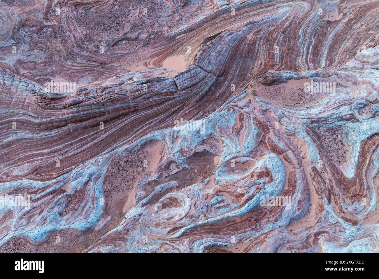 High-resolution image showcasing the intricate textures and natural ...