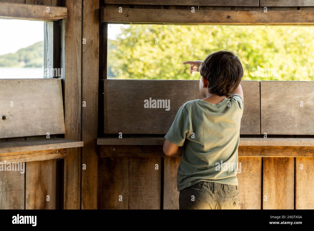 Back view of a young boy is seen from the back, pointing out birds ...