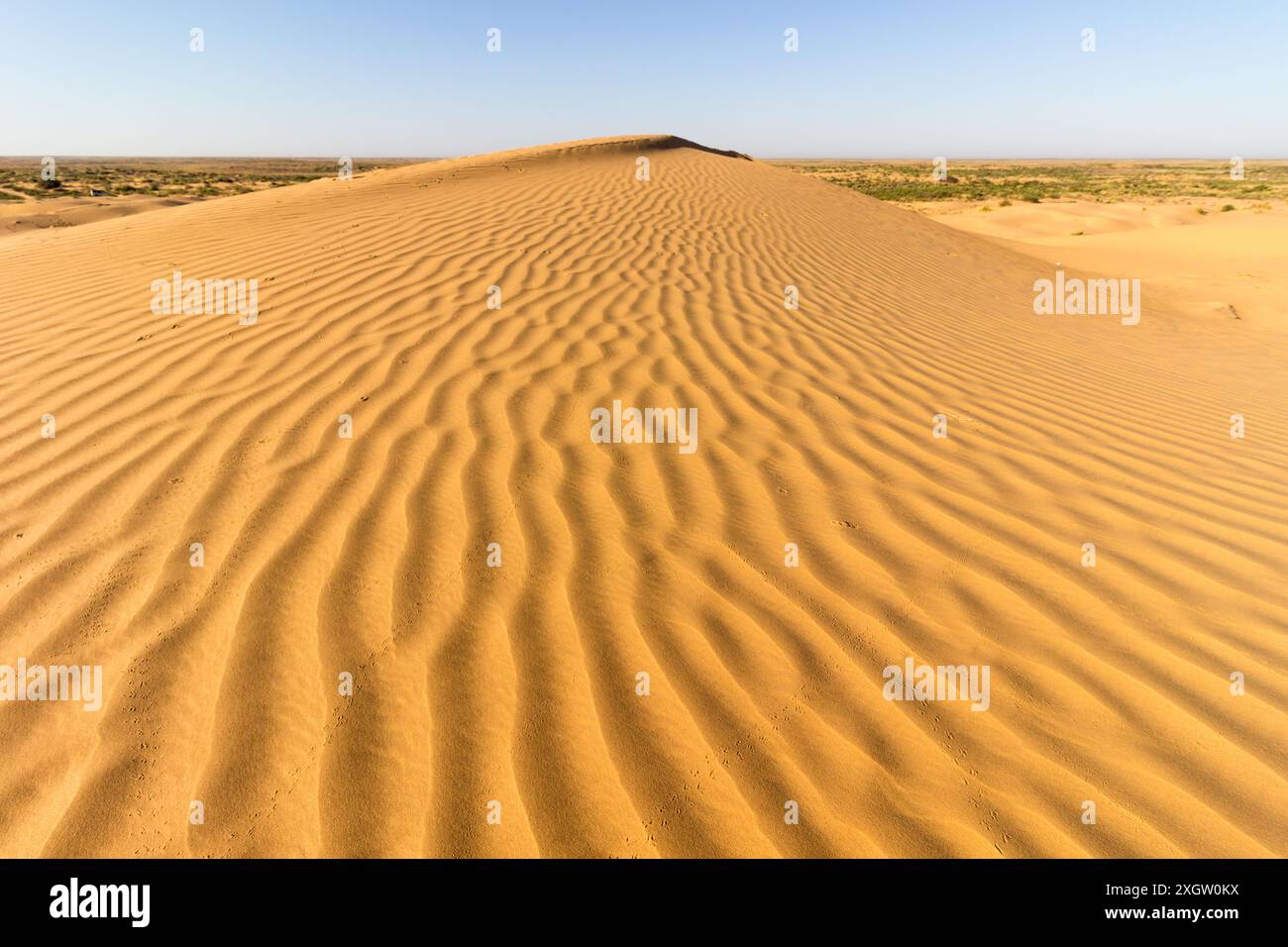 Golden desert texture hi-res stock photography and images - Alamy