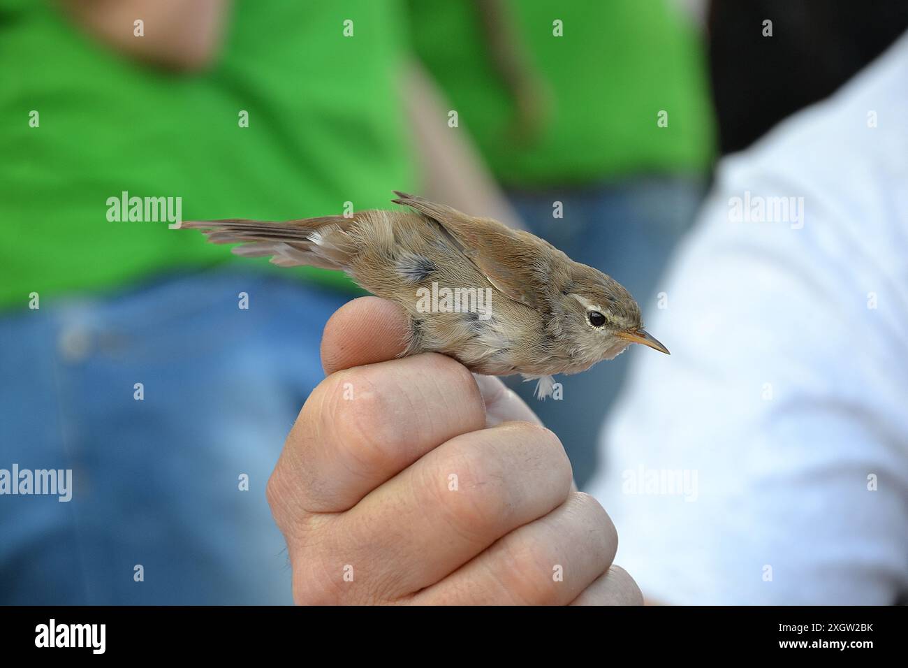 Mans behavior hi-res stock photography and images - Alamy