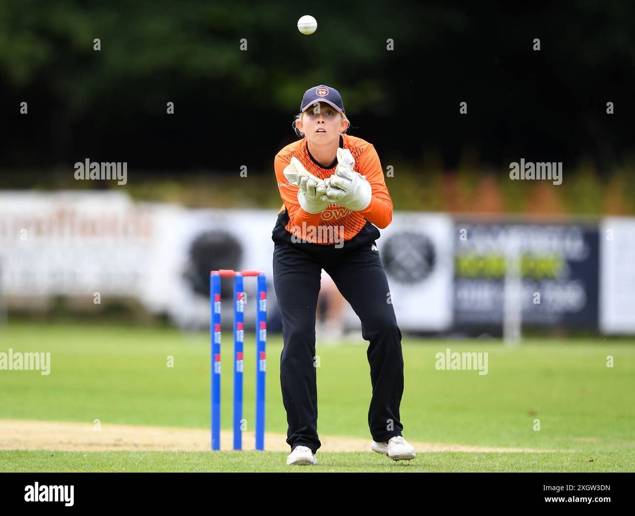 Wicket keeping hi-res stock photography and images - Alamy