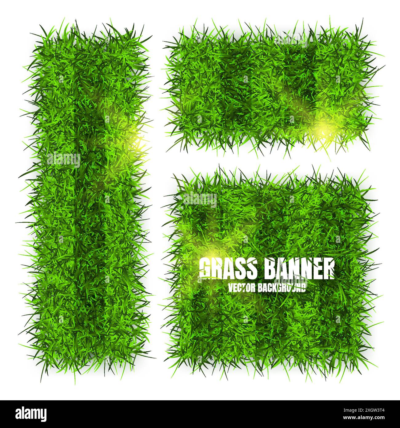 Green grass banners, background. Field, meadow texture, grassy ...