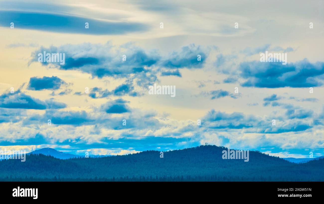 Aerial View of Dense Coniferous Forest Under Dramatic Sky in Oregon ...