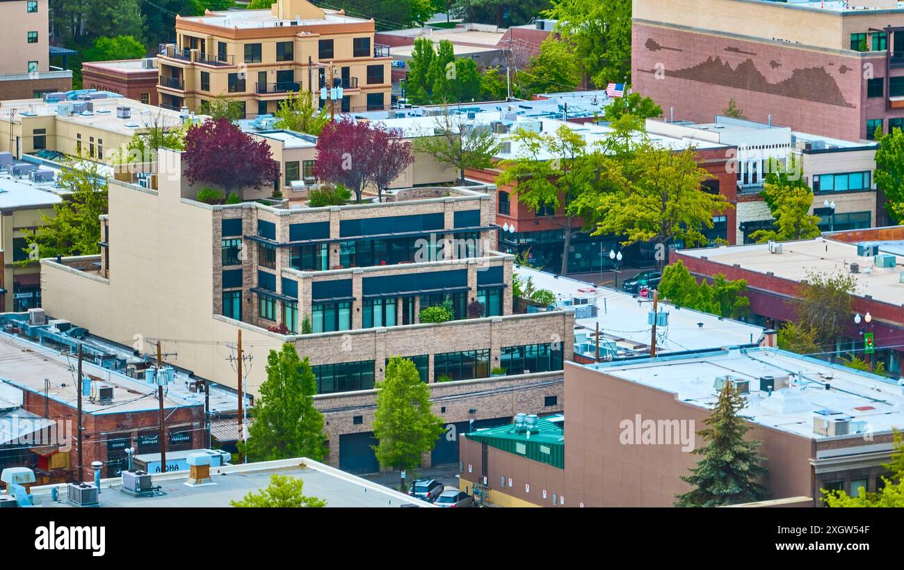 Aerial View of Modern and Historic Buildings with Lush Greenery in ...