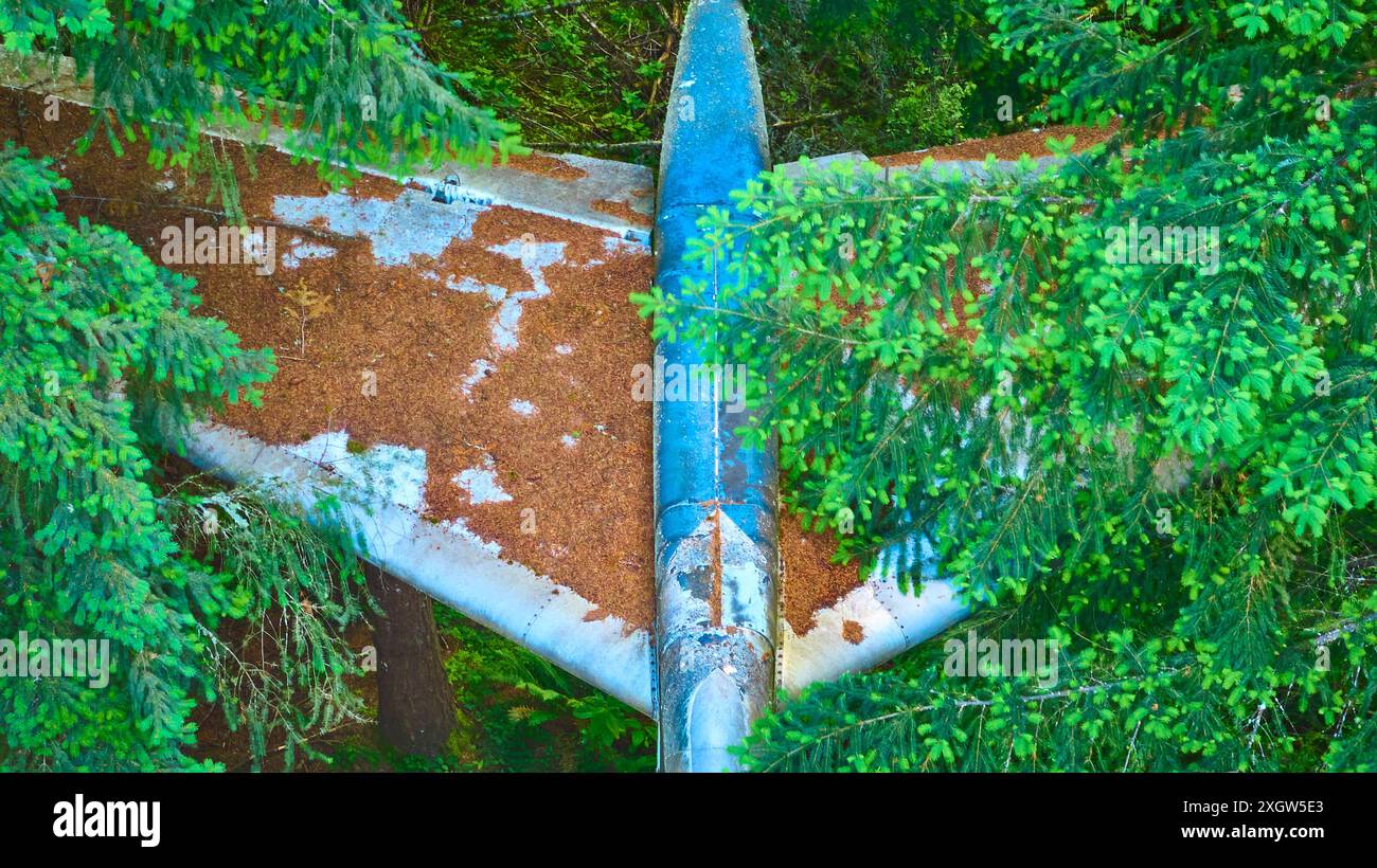 Aerial View of Rusty Blue Pipeline Through Dense Green Forest Stock ...
