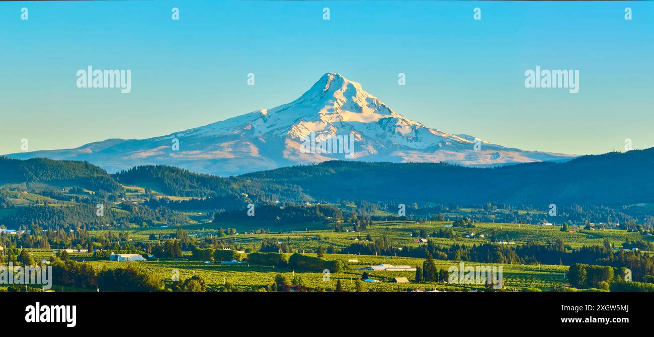 Aerial View of Mount Hood Snow-Capped Peaks and Lush Farmland Stock ...