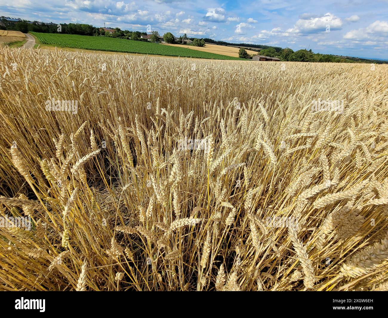 172837 hi-res stock photography and images - Alamy