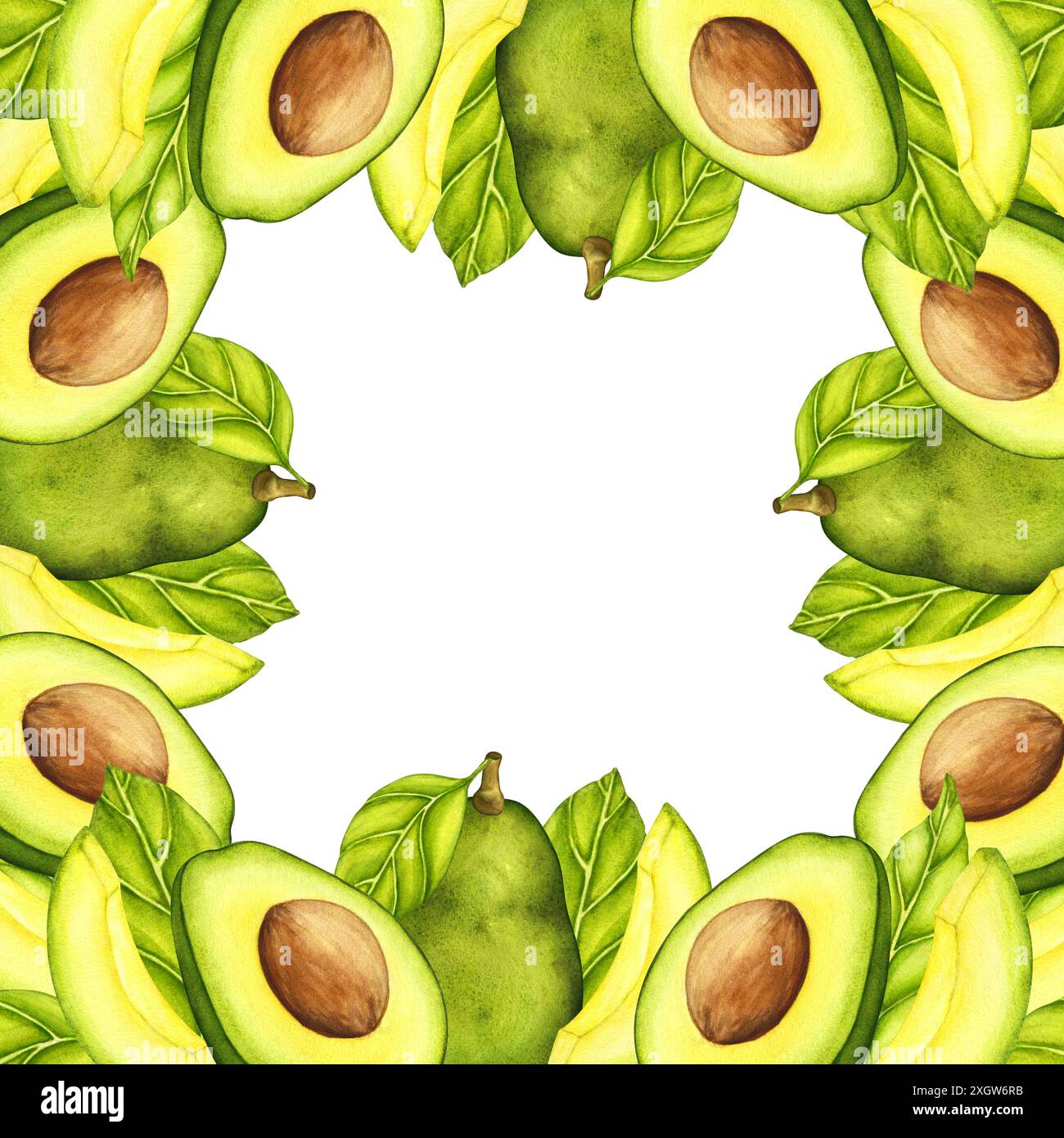 Avocado Square Frame. Watercolor illustration from leaves and Fruits ...