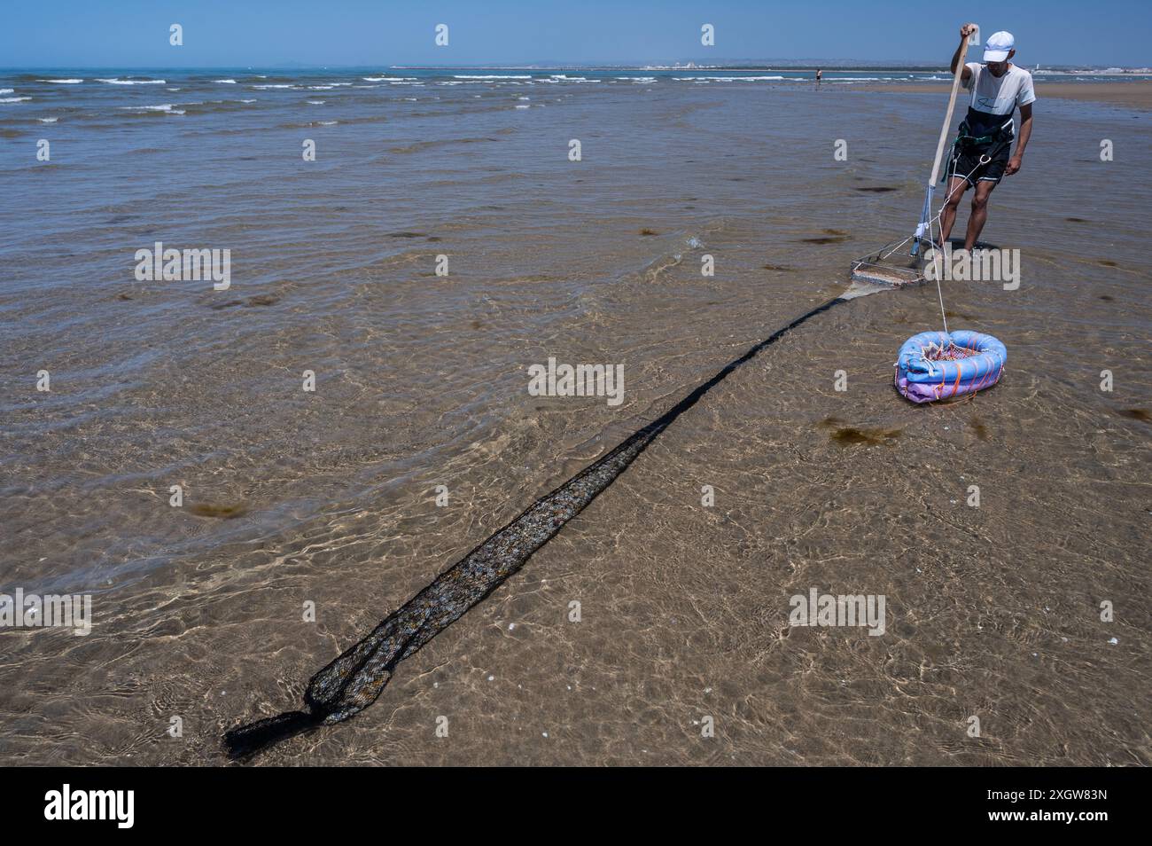 Fisherman shellfishing in a traditional manner wedge clams (known as ...