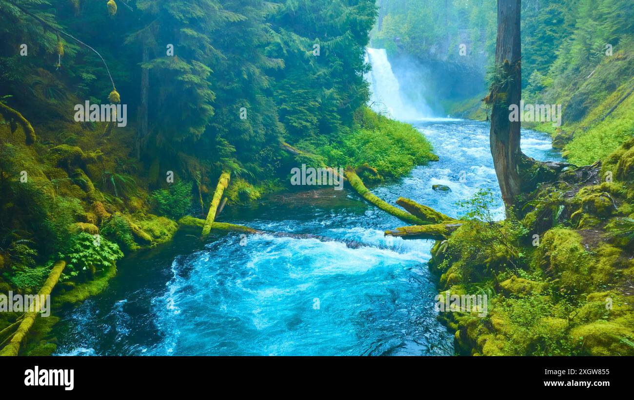 Aerial View of Koosah Falls and Turquoise River in Lush Oregon Forest Stock Photo - Alamy