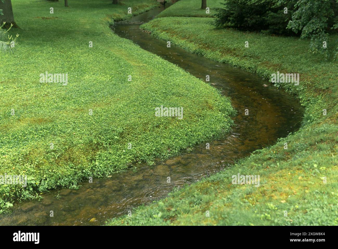 Water flows through grassland hi-res stock photography and images - Alamy