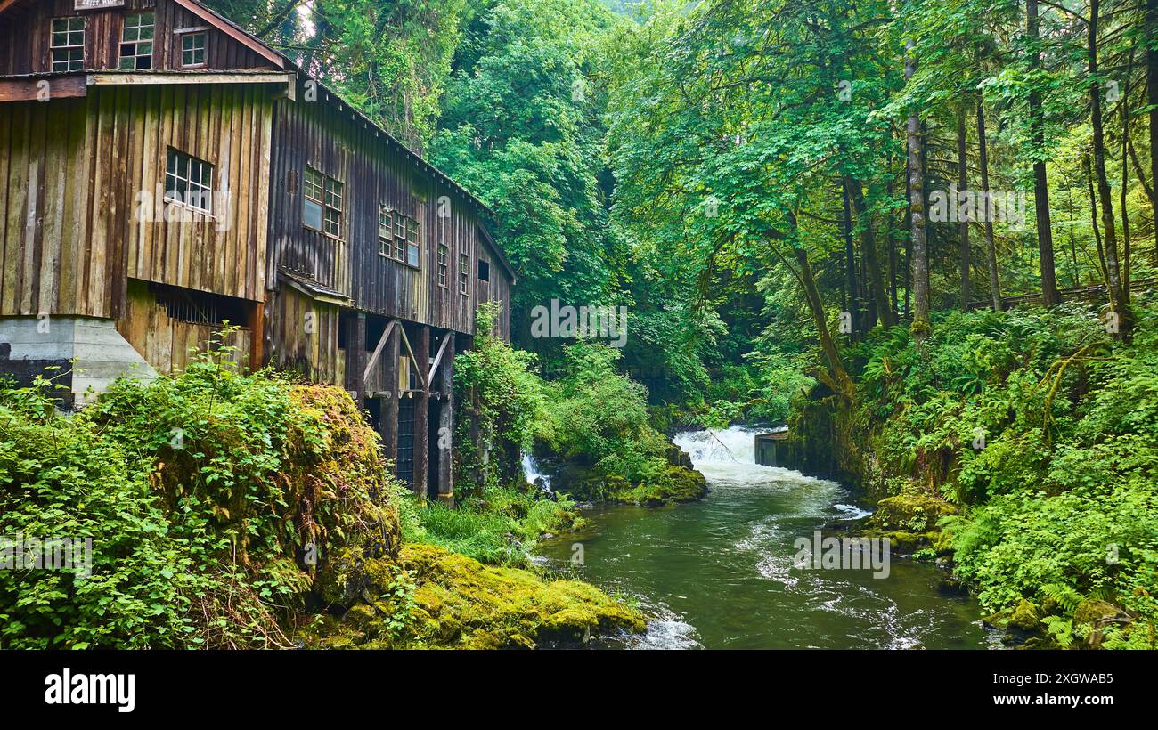 Aerial View of Cedar Creek Grist Mill in Lush Washington Forest Stock ...