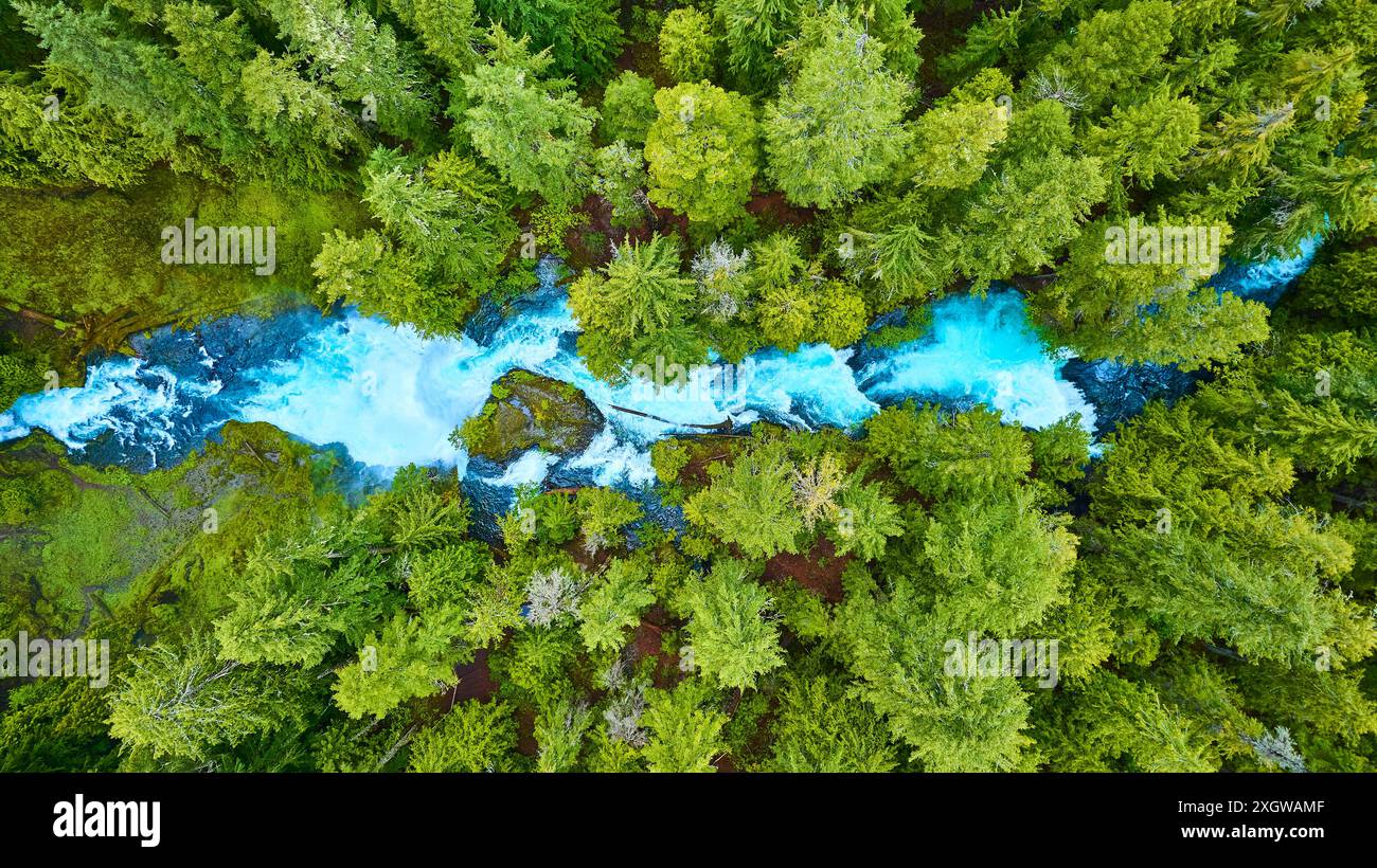 Aerial View of Turquoise River Winding Through Lush Green Forest Stock ...