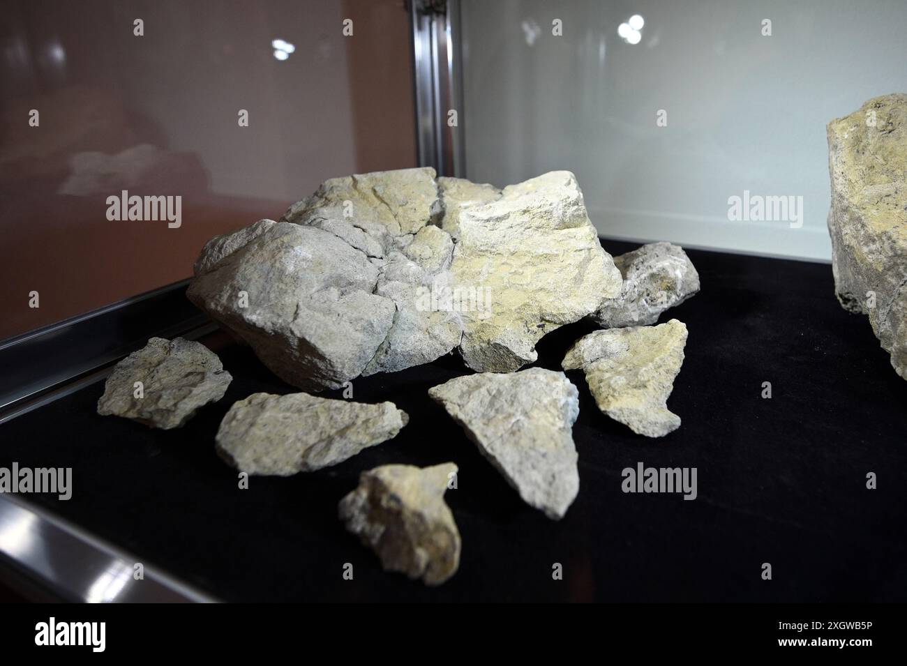 New York, USA. 10th July, 2024. View of rare sample of fossilized skin ...